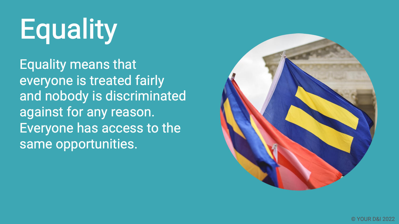 What Is Equality? - Your D+I